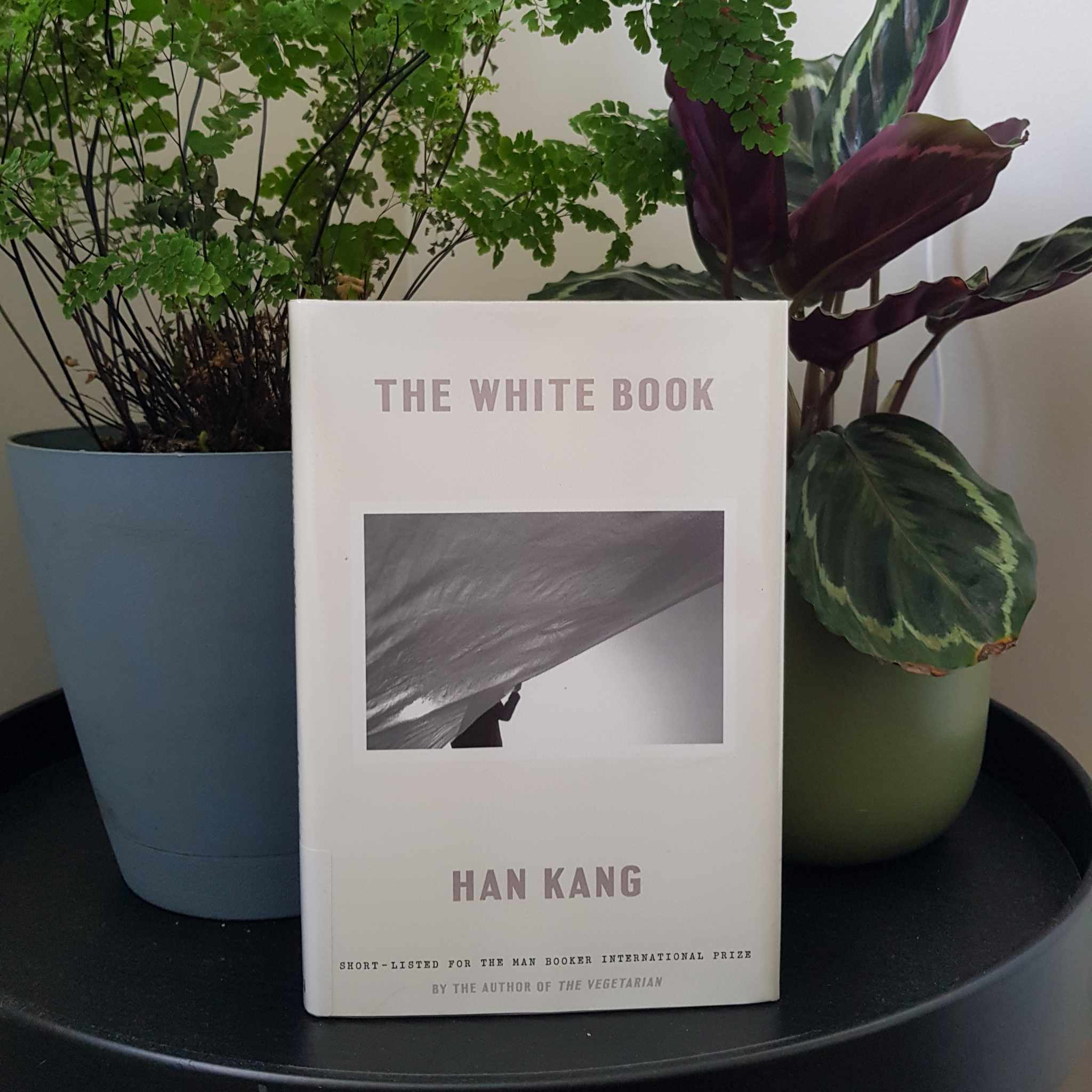 The White Book By Han Kang – Stunning Poetic Prose – Annafromuni